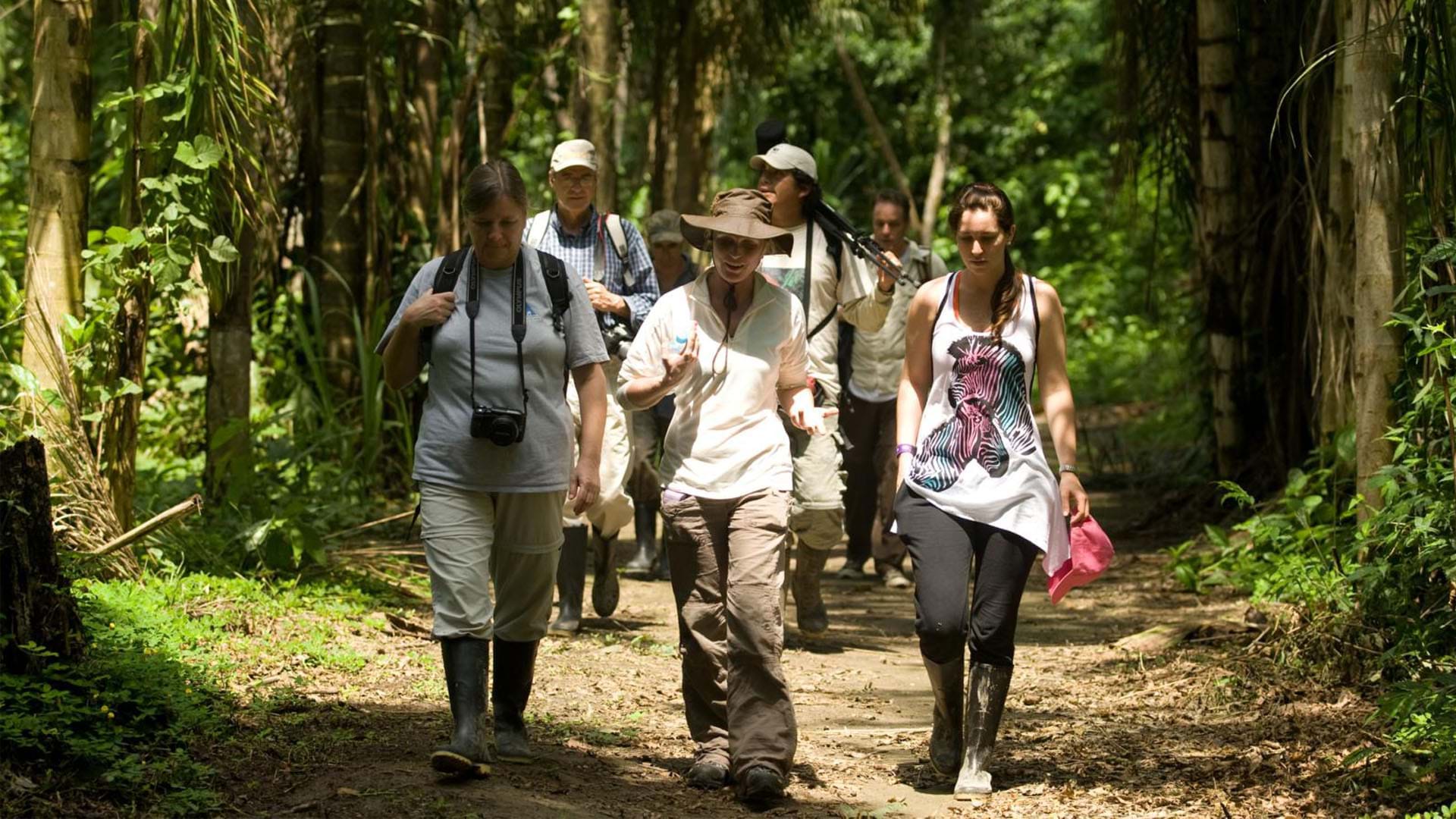 Tambopata Jungle Expeditions — Tambopata Lodge – Rainforest Expeditions ...