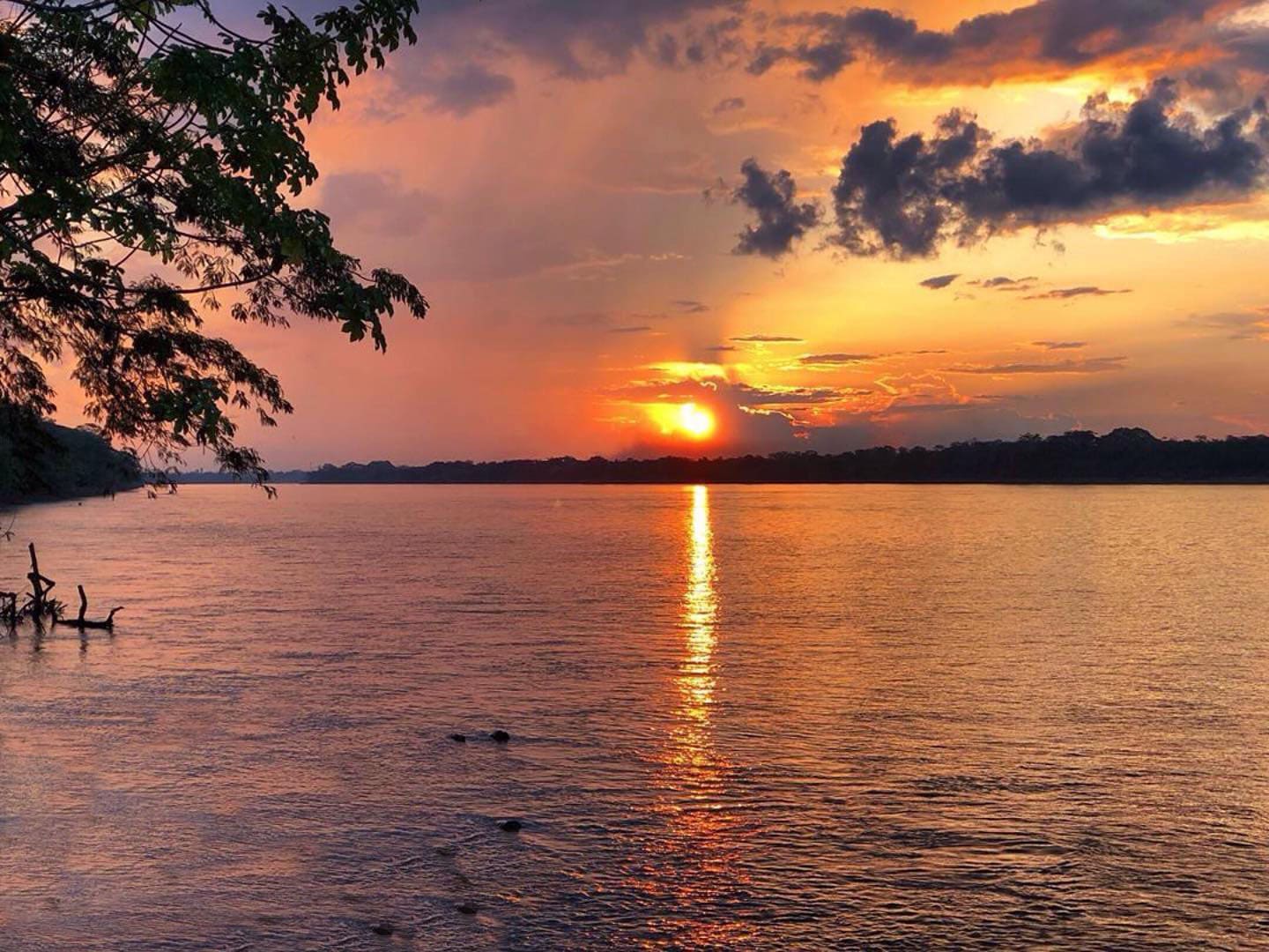 Expectacular Peruvian Amazonas — Tambopata Lodge – Rainforest ...